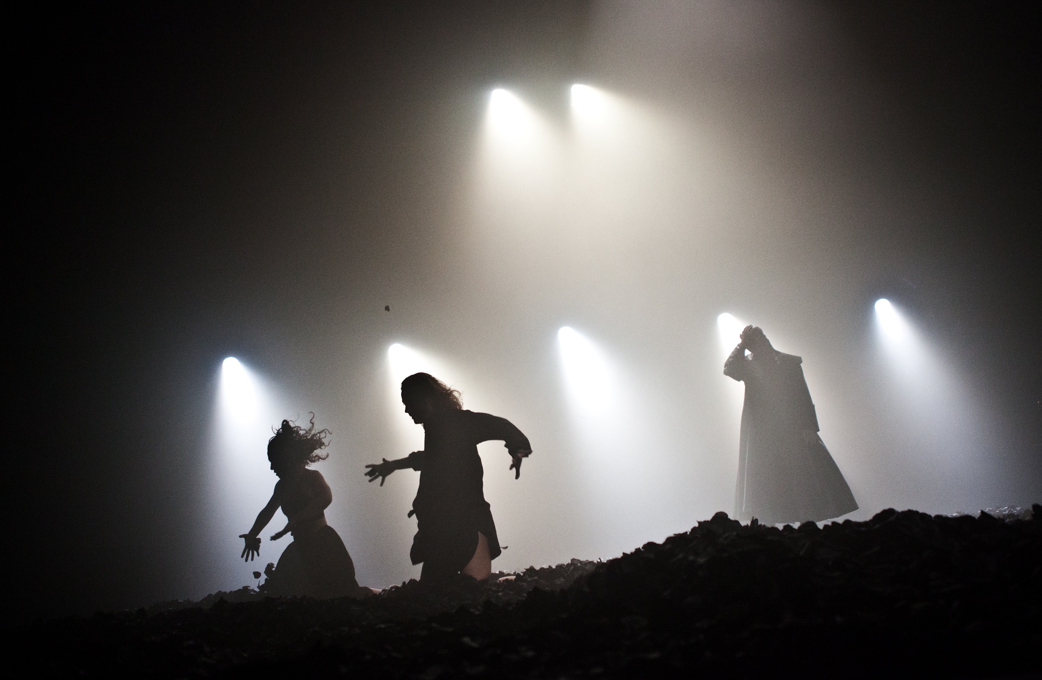 Urban Wolves 2019 | Yaron Shamir